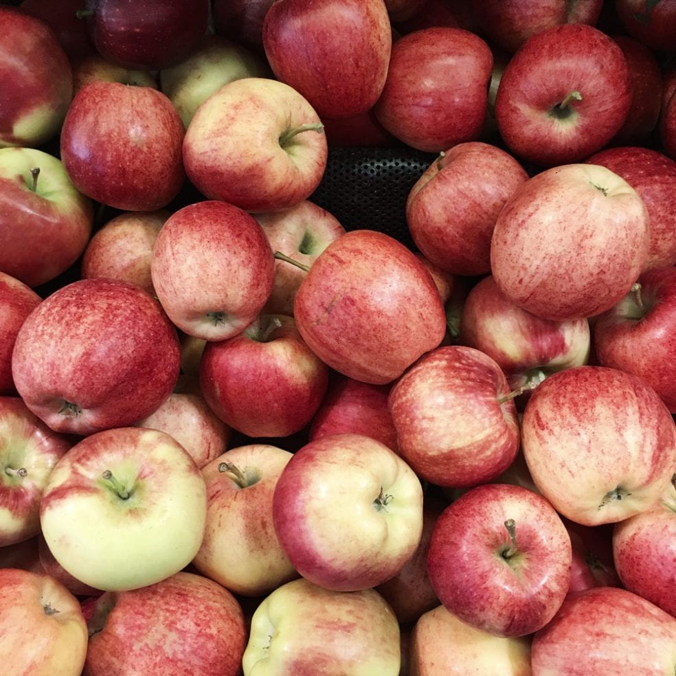 What's Inside My Grocery Bag - Jillian Harris Design Inc.