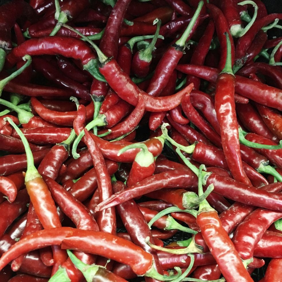 What's Inside My Grocery Bag - Jillian Harris Design Inc.