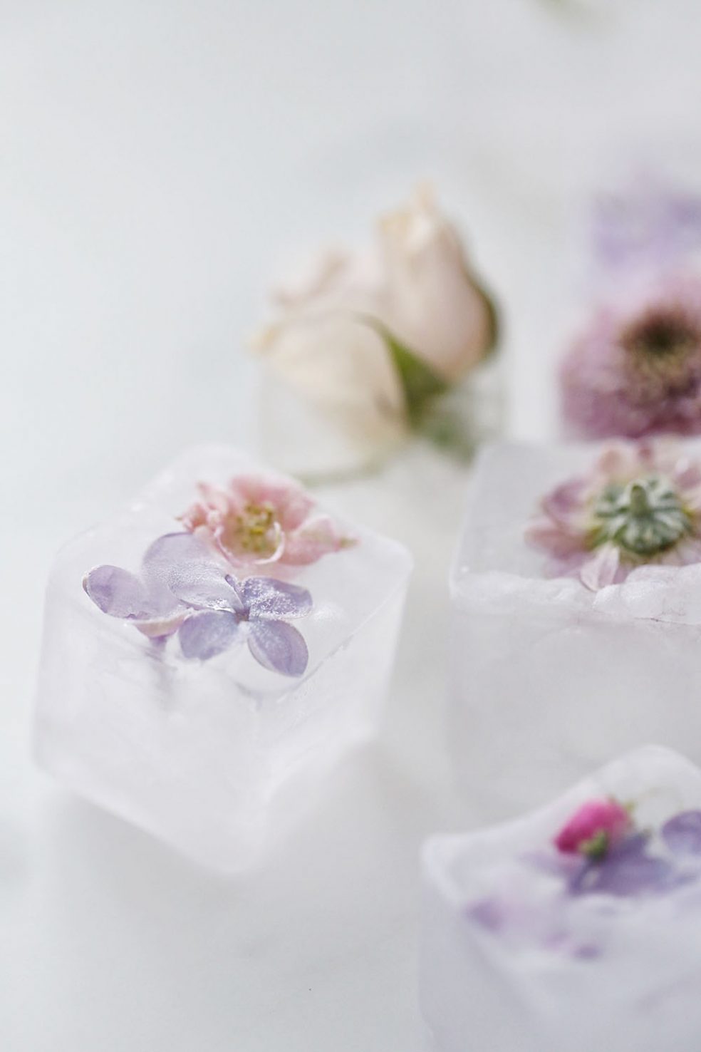 How to Make Floral Ice Cubes - Jillian Harris Design Inc.