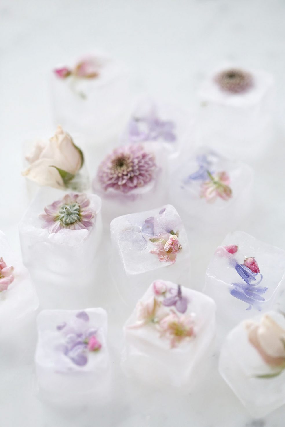 How to Make Floral Ice Cubes - Jillian Harris Design Inc.