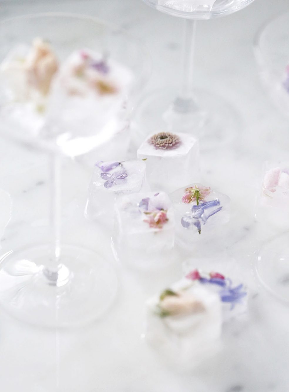 How to Make Floral Ice Cubes - Jillian Harris Design Inc.