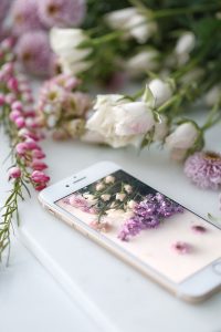 How to Make Floral Ice Cubes - Jillian Harris Design Inc.