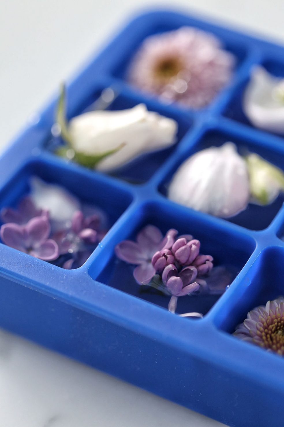 How to Make Floral Ice Cubes - Jillian Harris Design Inc.