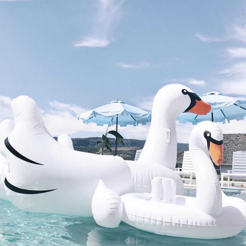 Our Pool Inspo and Progress - Jillian Harris Design Inc.