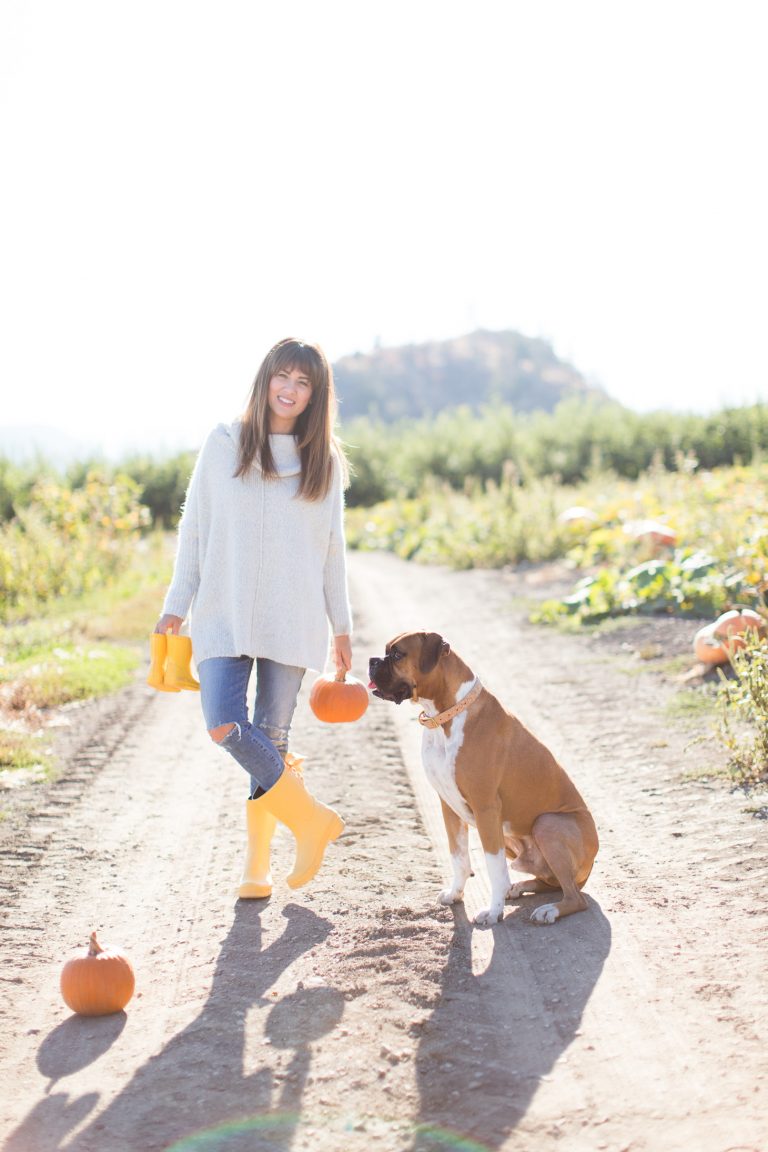 The Most Spook-Tacular Cardigan for Fall - Jillian Harris Design Inc.