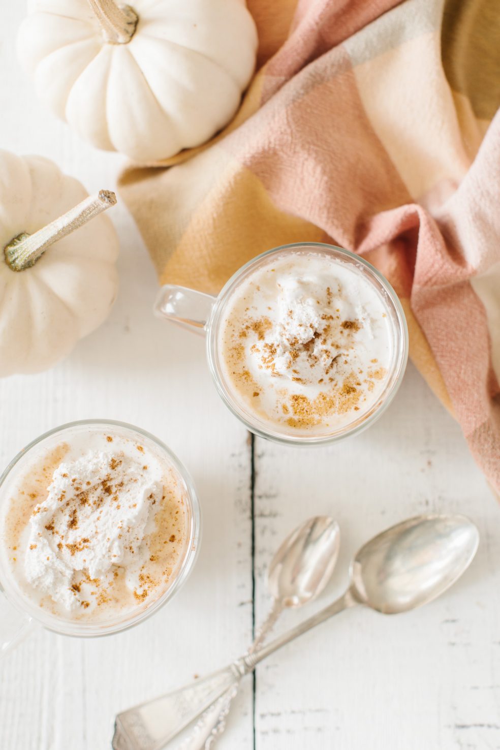 Scrumptious Pumpkin Spice Steamer - Jillian Harris Design Inc.