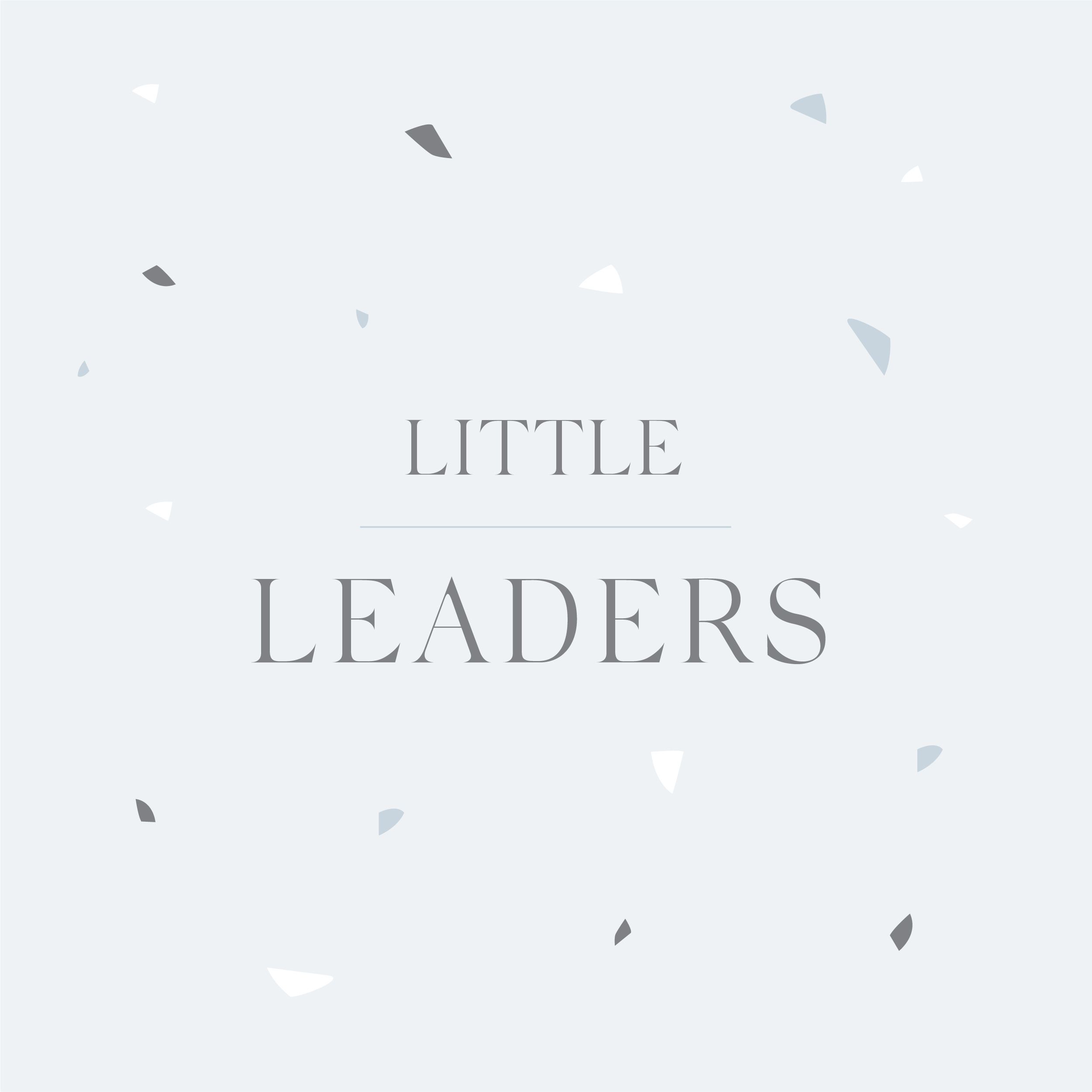 Little Leader Series: Color Me Inc. - Jillian Harris Design Inc.