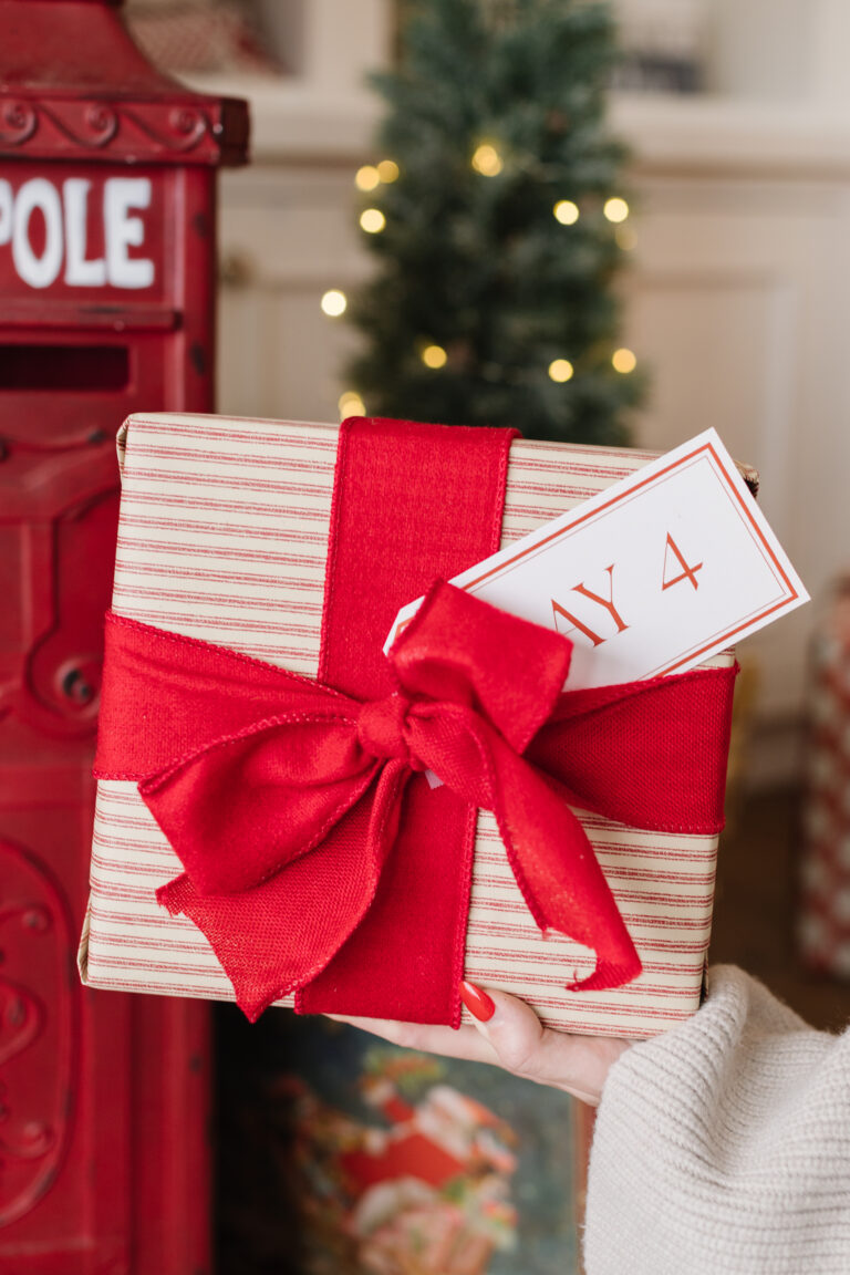 Day 4 of Jillian Harris's 12 Days of Giving: Project Skin