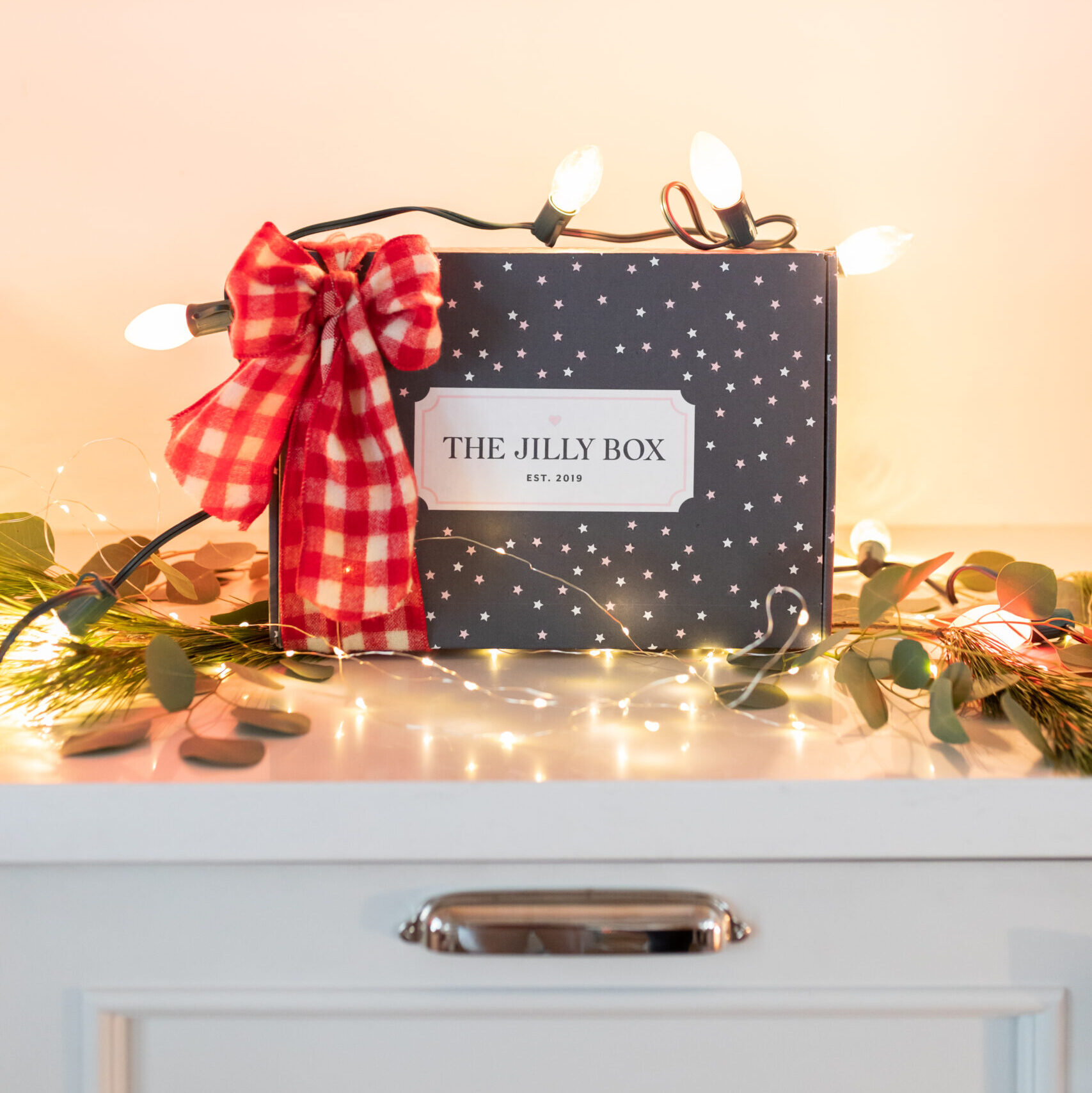 Day 9 of Jilly's 12 Days of Giving: The Jilly Box!