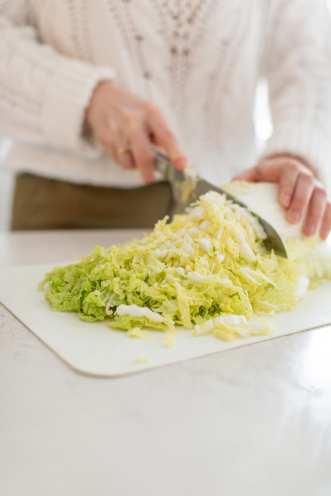 Make this Savoury Crispy Rice Pockets Recipe - Jillian Harris