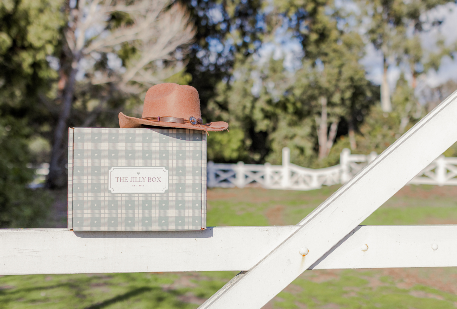 The Summer 2025 Jilly Box Revealed! - Jillian Harris Design Inc.