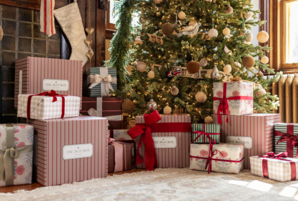 The Winter 2025 Jilly Box Add-Ons Reveal! - Jillian Harris Design Inc.