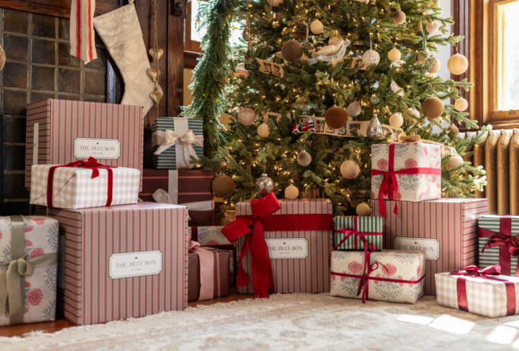 The Winter 2025 Jilly Box Add-Ons Reveal! - Jillian Harris Design Inc.